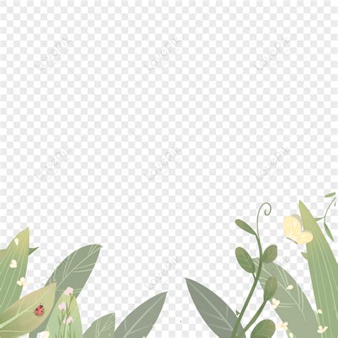 Aesthetic Grass Illustration Picture Leaves Leaves Green Leaves Png
