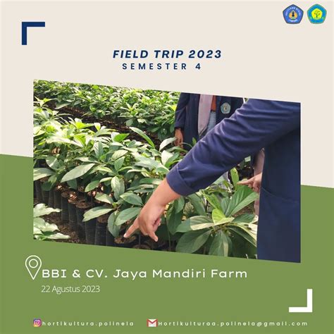 Hortikultura Polinela Hortikulturapolinela • Instagram Photos And Videos