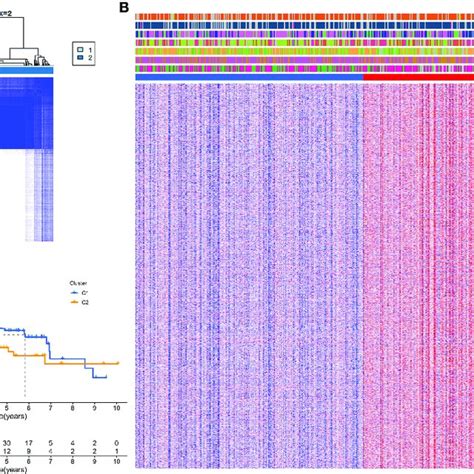 Tumor Classification Based On The Degs A Hcc Patients Were