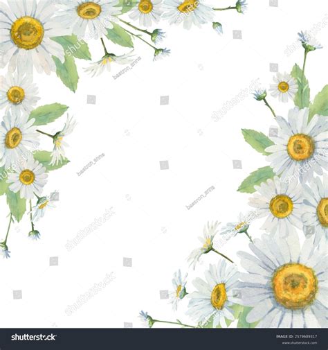 Daisy Corner Border Image Over 3029 Royalty Free Licensable Stock Illustrations And Drawings