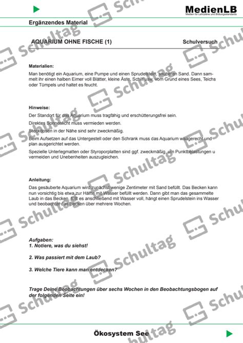 Aufbau Eines Fisches Schultag