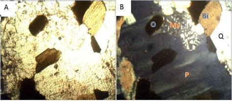 A Photomicrograph Of Biotite Gneiss A Under Ppl B Showing Mineral Download Scientific