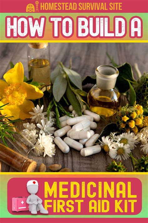Top 18 Herbal Actions And How To Use Them Artofit
