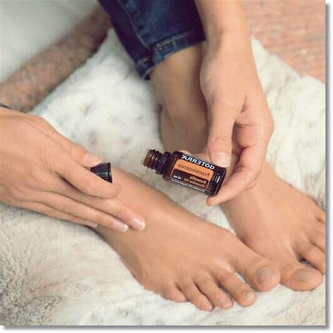 유향 효능 및 구성성분 사용법과 주의점