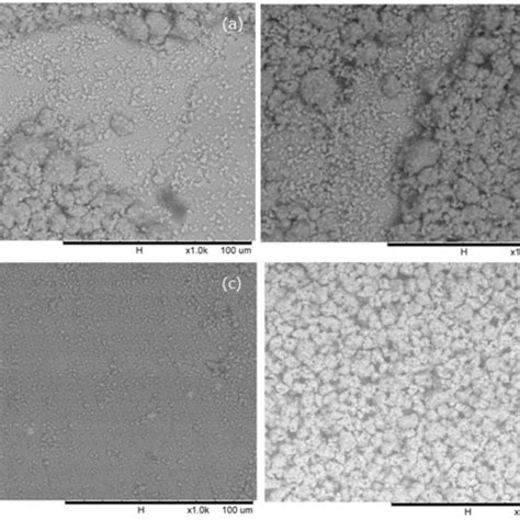 Pdf Formation Of Nay Zeolite Membrane Influence Of Intermediate Layer And Its Characterization