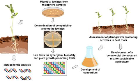 Microbial Test Soil At Mackenzie Sheehy Blog