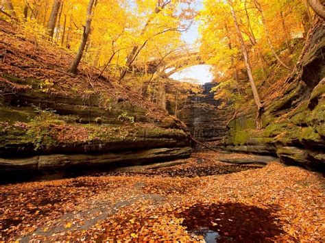 26 Illinois Landscape Photography Ideas To Save Today Landscape