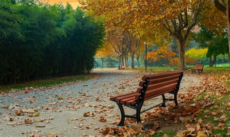 Premium Photo Botanical Park Bursa Turkey