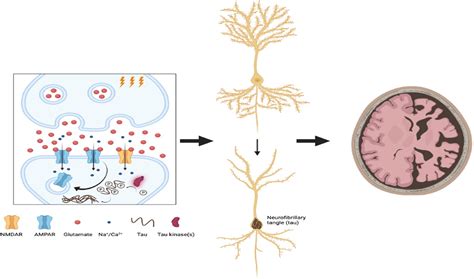 Hebbian Plasticity The Elusive Missing Link At The Heart Of
