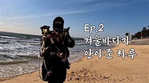 견생다큐 복둥 기쁨 행복이의 청산별곡 Ep2 Youtube