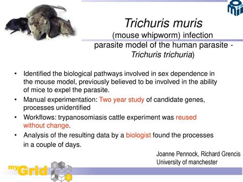 distributed computing for system biology using taverna workflows ppt download