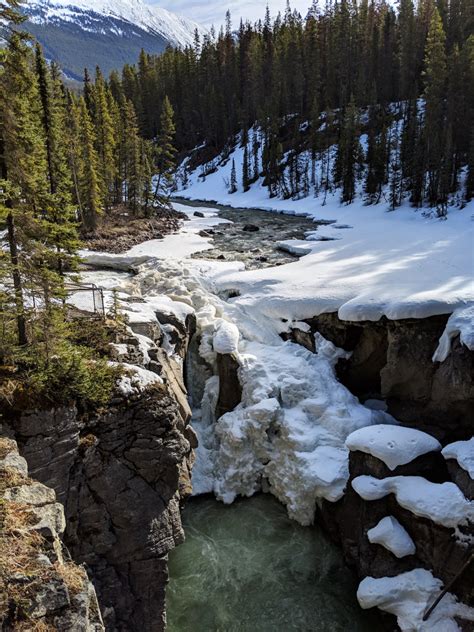 Sunwapta Falls Icefields Parkway Hikes A Walk And A Lark