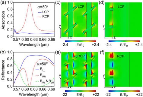 A Absorption Spectra Of The Optimized Device For Lcp And Rcp Light