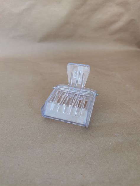 Cleste Prindere Regina