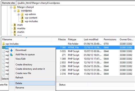 How To Delete Files On The Server Template Monster Help