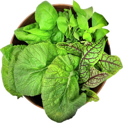 現貨商品 Hyi888合家歡農物生技