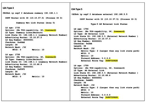 Ospf As Pe Ce Protocol And Loop Prevention Techniques In Mpls L3 Vpn Configuration Example Cisco