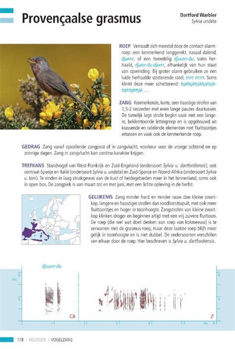 Veldgids Vogelzang Webshop Vogelskijkennl