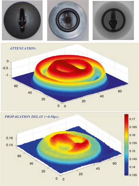6 Two Photos X Ray Transmission Image And Two Sub Thz Transmission