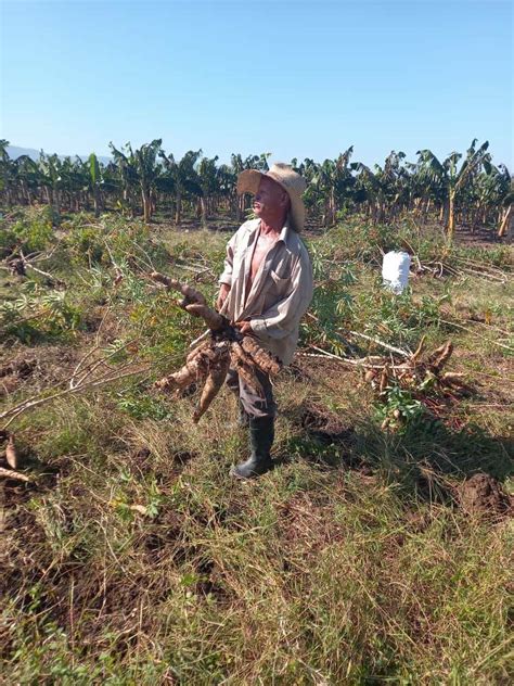 Empresa Agropecuaria Empresa Agropecuaria Guatemala