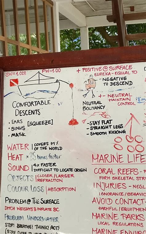 Scuba Instructor Training Center