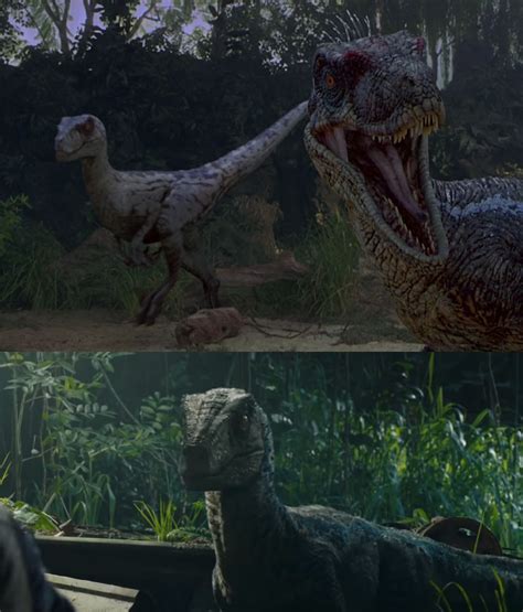 Blue Meets Alpha Velociraptor By Mnstrfrc On Deviantart