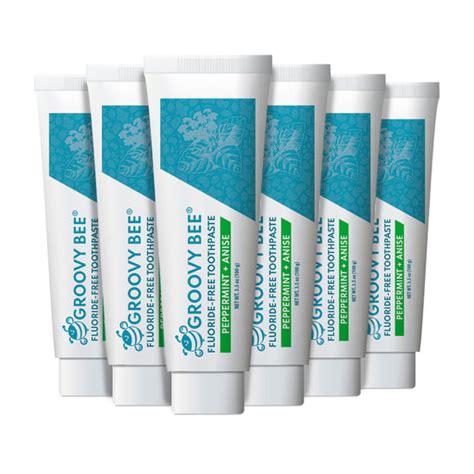 All Natural Fluoride Free Toothpaste Peppermint Aniseed Flavor — Groovy Bee
