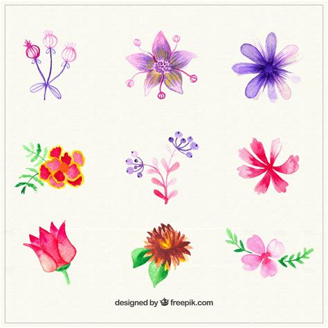Free Vector Watercolor Flowers Collection