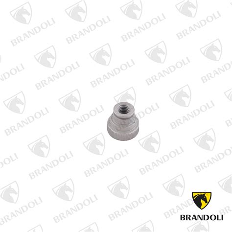 Battery Cover Ring Nut Ferrari Dino 246 Gt And Dino 246 Gts