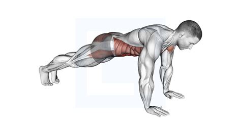 Lean Planche Guide Benefits And Form Lean Planche Guide Benefits And Form