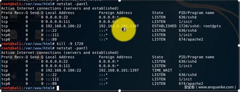 应急响应入门篇 Linux分析排查技术(上) 安全ker 安全资讯平台 应急响应入门篇 Linux分析排查技术(上) 安全ker 安全资讯平台