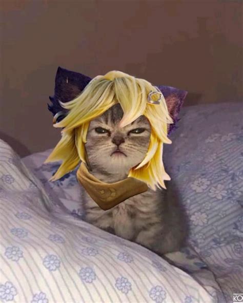 Joy Mlbb Versi Cute Cat Legend Cat Mobile Legend Wallpaper Anime