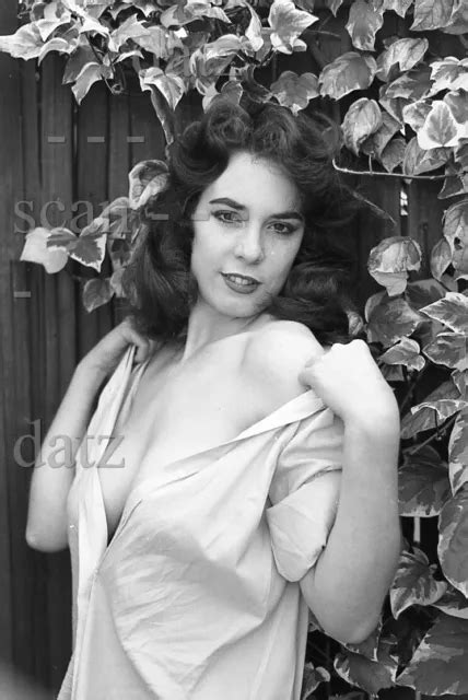 1950s Negative Busty Brunette Pinup Girl Marianne Arras Cheesecake