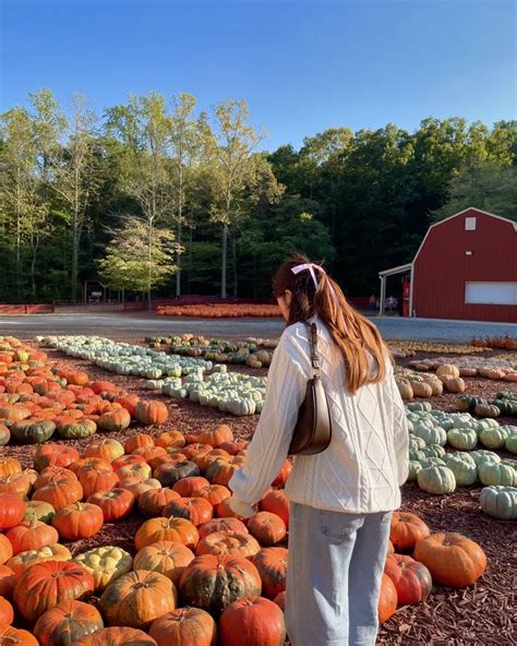 Just A Girl In A Pumpkin World 🎃🍂🧸☁️🎀 • • • Pumpkinpatch