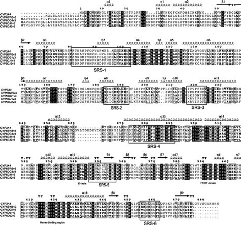 Multiple Sequence Alignment And Secondary Structure Elements