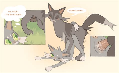 Rule 34 Animal Genitalia Animal Penis Balls Dialogue Domestic Cat Duo