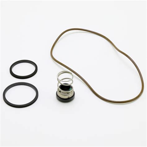 Rpknpe Goulds Pump Seal Kit