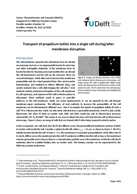 Thermodynamics And Transport Nb2011 Assignment 2 Pi Diffusion Study