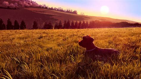 Explore The Best Lois Art Deviantart