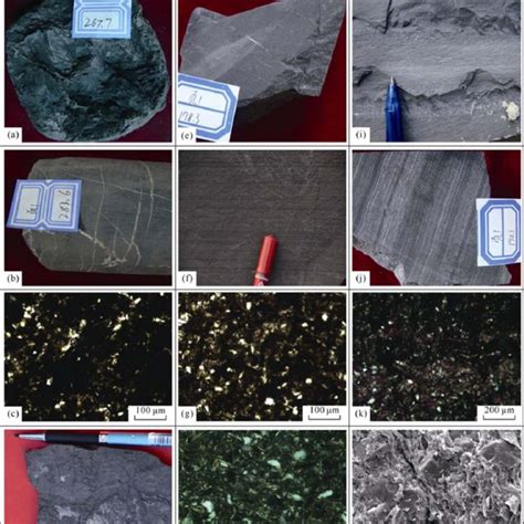 Characteristics Of Carbonaceous Shale Silty Shale And Calcareous