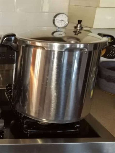 Which Type Of Pressure Canner Should You Get The Reid Homestead