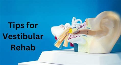 Master Vestibular Exercises 5 Best Tips For Vestibular Rehab