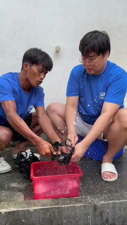 저 일하러 온 거 아니에요 ㅜㅜ 클럽세부호핑 Travel 호핑투어 Funny 세부여행 세부옥태견 세부옥택연 Korean Philippines Youtube