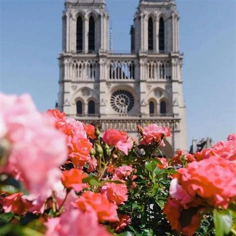 Python计算组合概率方法探究 多种场景下的实际应用 常见问题与解答 知乎