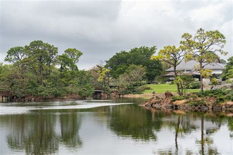 Nature Landscape In Morikami Japanese Park Garden And Museum One Of