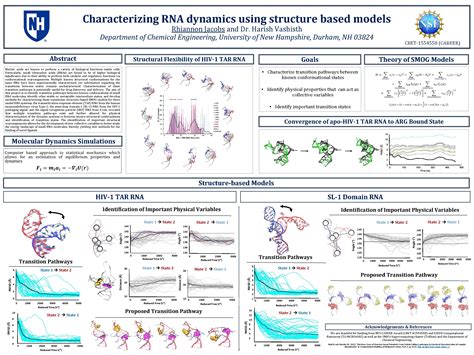 Characterizing RNA Dynamics Using Structure Based Models Rhiannon