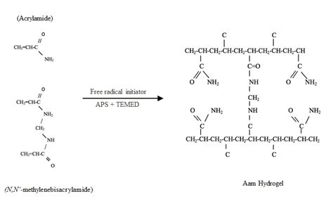 The Process Of Polymerization Download Scientific Diagram