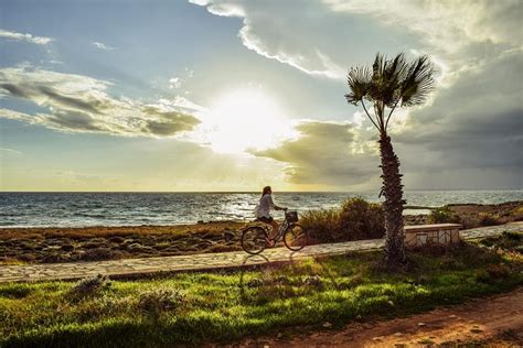 600 Free Afternoon Sun And Afternoon Images Pixabay
