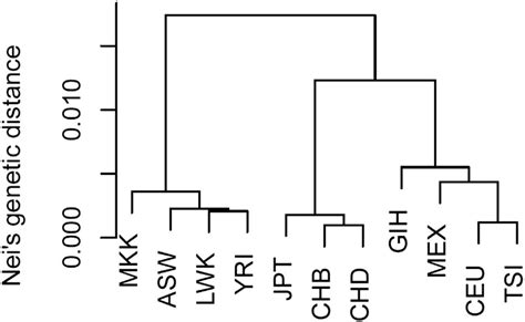 Cluster Analysis Of 11 Human Populations The Plot Is Based On Neis Download Scientific