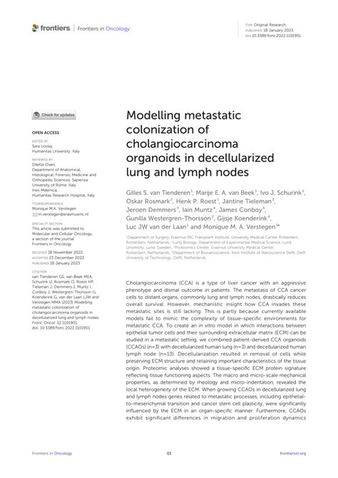 Pdf Modelling Metastatic Colonization Of Cholangiocarcinoma Organoids In Decellularized Lung